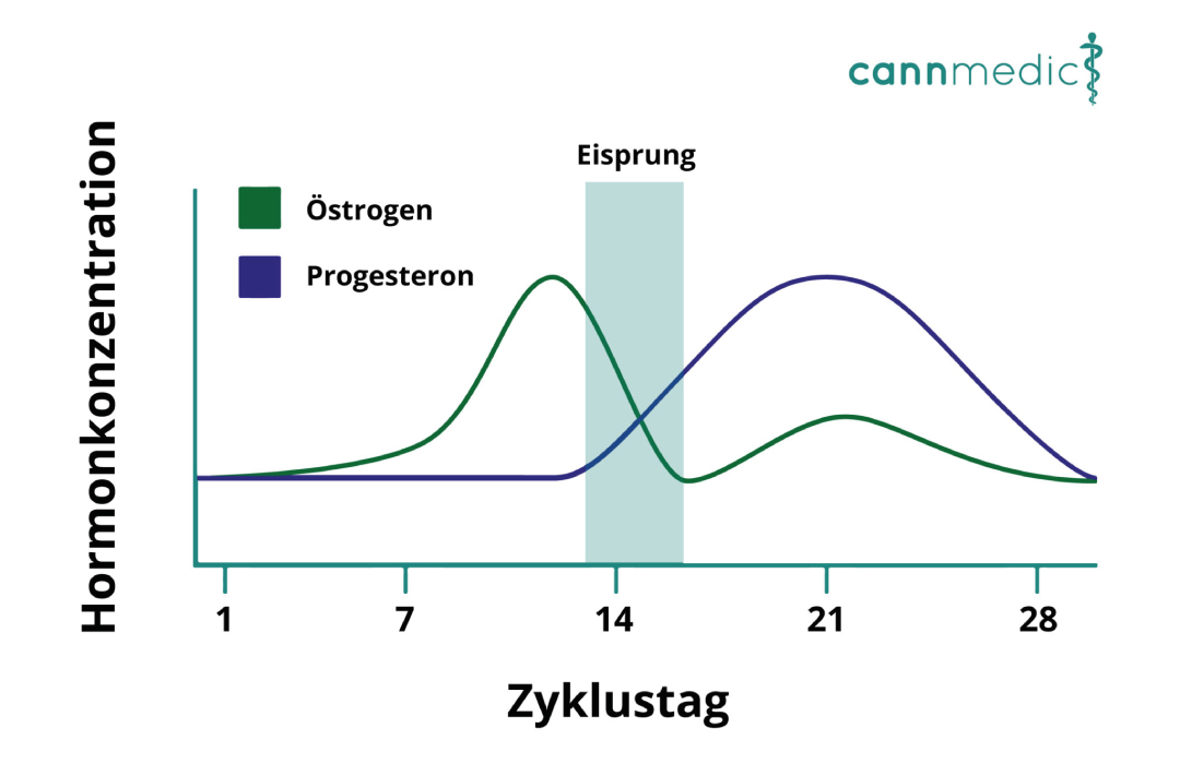 PMS / PMDS Prämenstruelles Syndrom - cannmedic